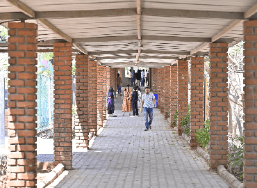 The Tips Global Institute