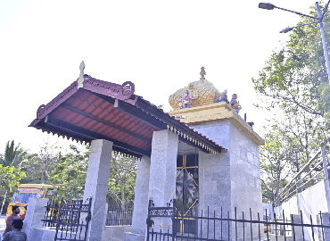 The Tips Global Institute